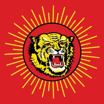 Tamil Nadu Assembly Election 2026 – Data Dashboard